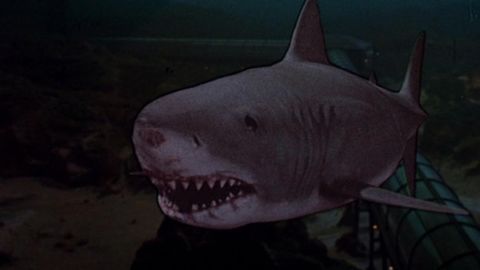 Jaws movies ranked, worst to best | Live Science