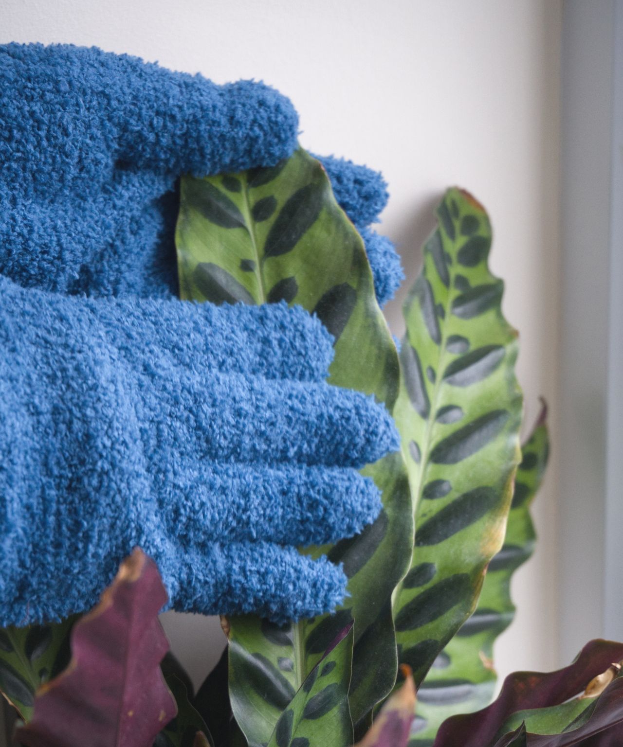 Experts share 5 ways to clean fake plants | Homes and Gardens