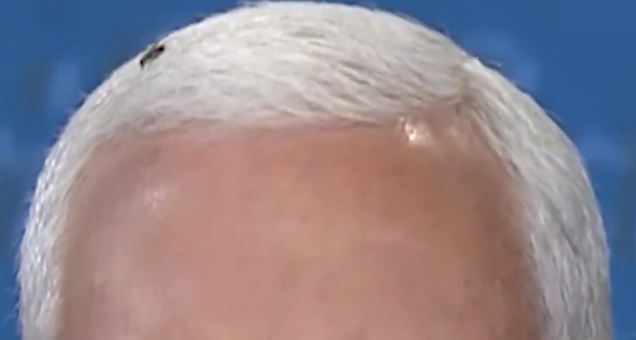 A fly spent 2 mesmerizing minutes on Mike Pence's head during the ...