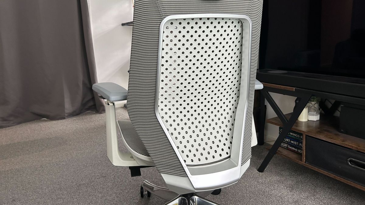 FlexiSpot BS11 Pro review: Breathable mesh makes this ergonomic office ...