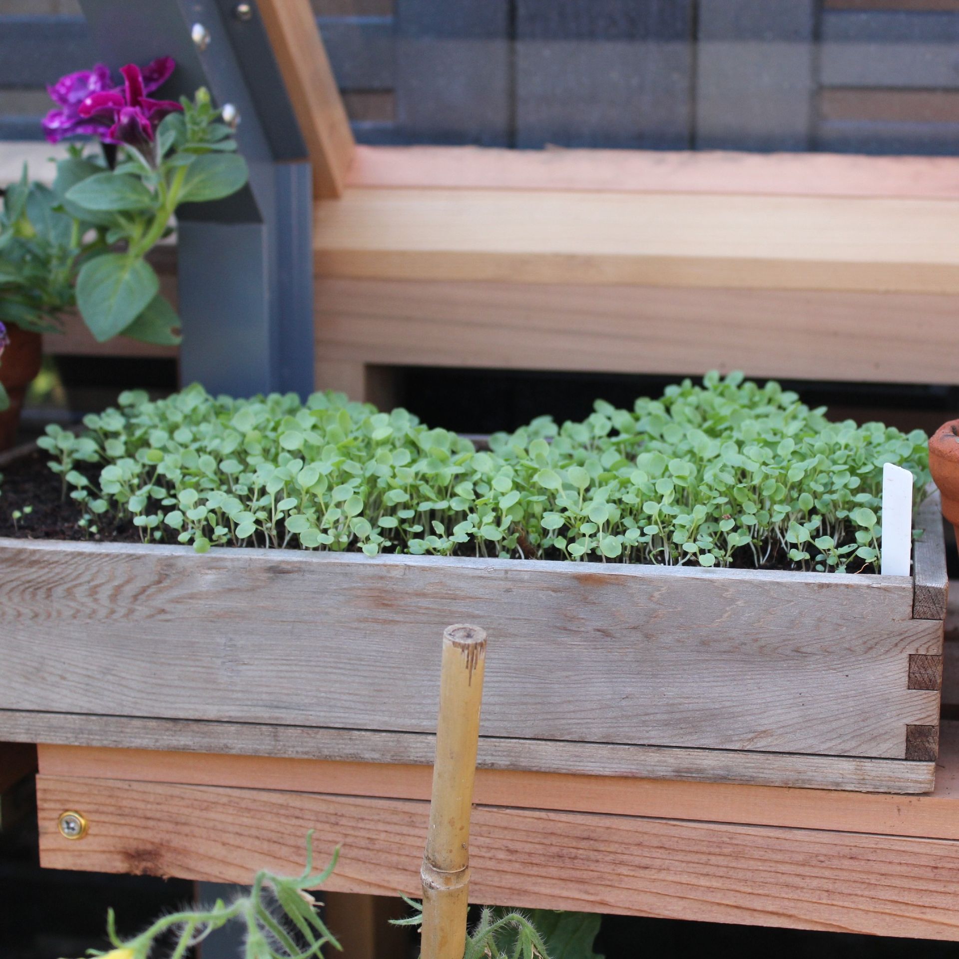 34 easy garden ideas to create a low-maintenance space | Ideal Home