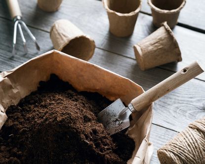 What is peat-free compost and why should I buy it? Our guide explains ...