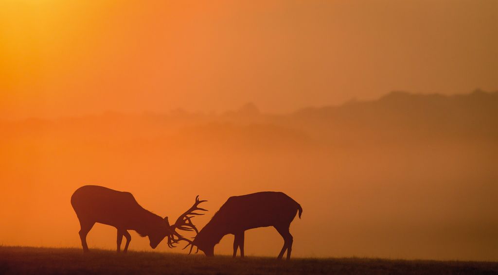 10 tips for capturing colorful autumn photos | TechRadar