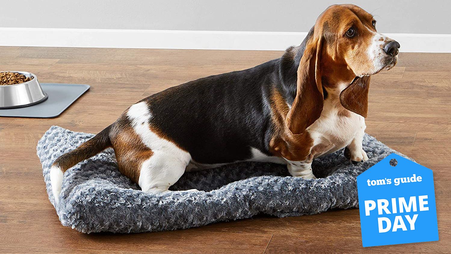 Amazon Prime Day — here's the best deals for your pets | Tom's Guide