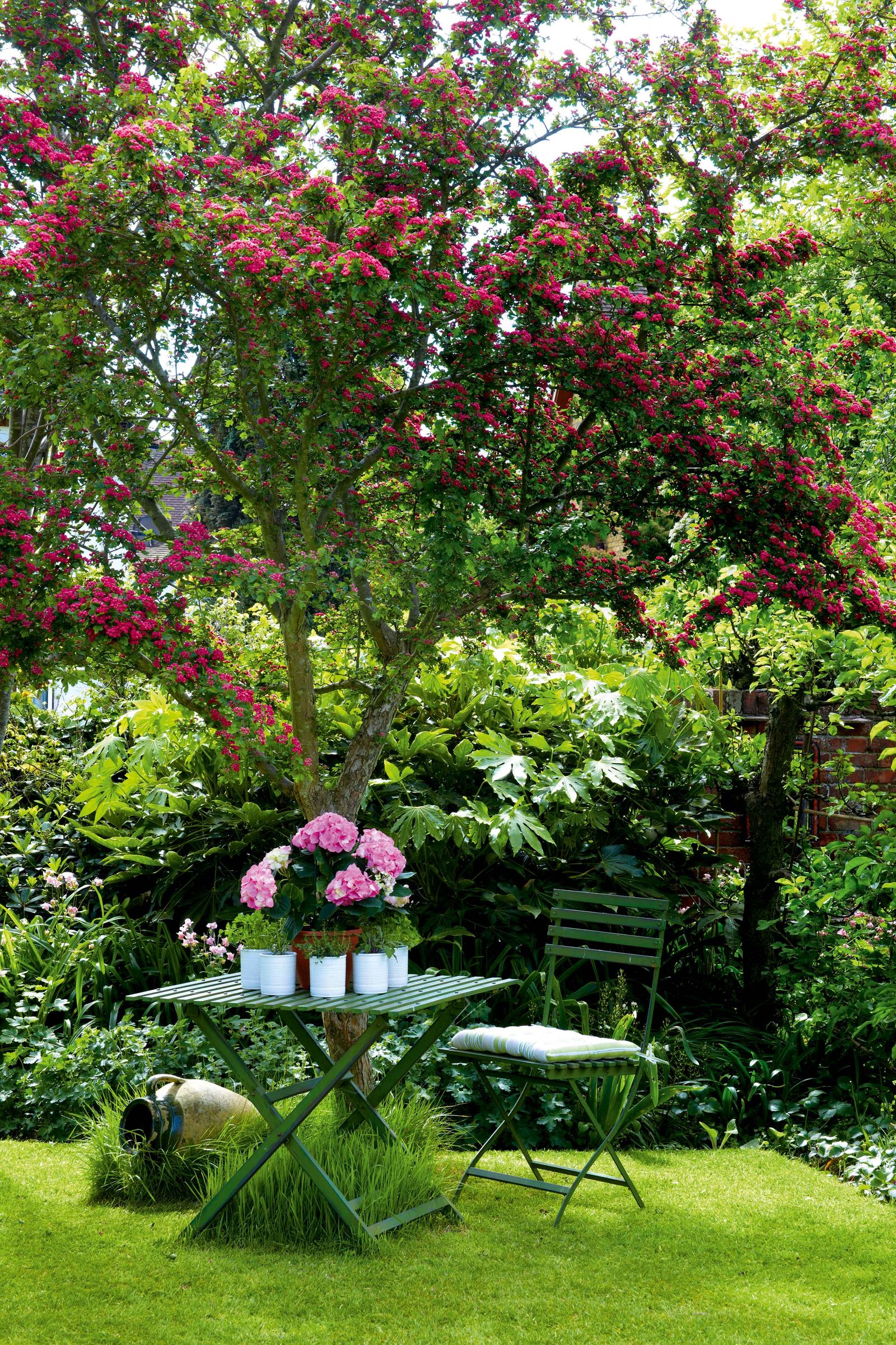 Landscaping around trees: 10 stunning ways to bring them into your plot ...