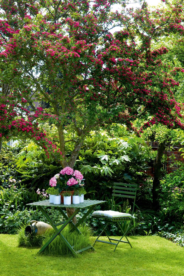Landscaping around trees: 10 stunning ways to bring them into your plot ...