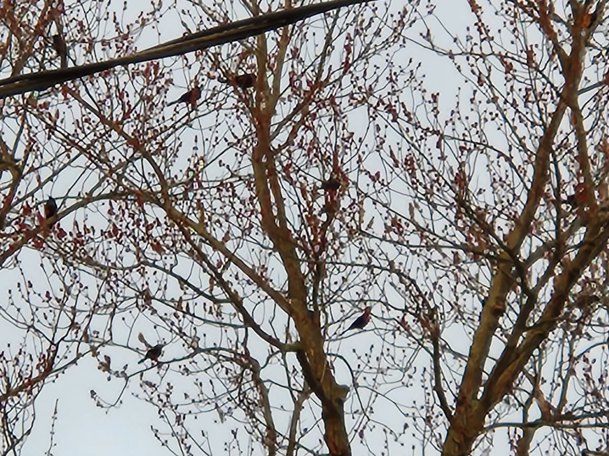 Samsung Galaxy S22: Samsung's newest flagship Android phone line is a ...