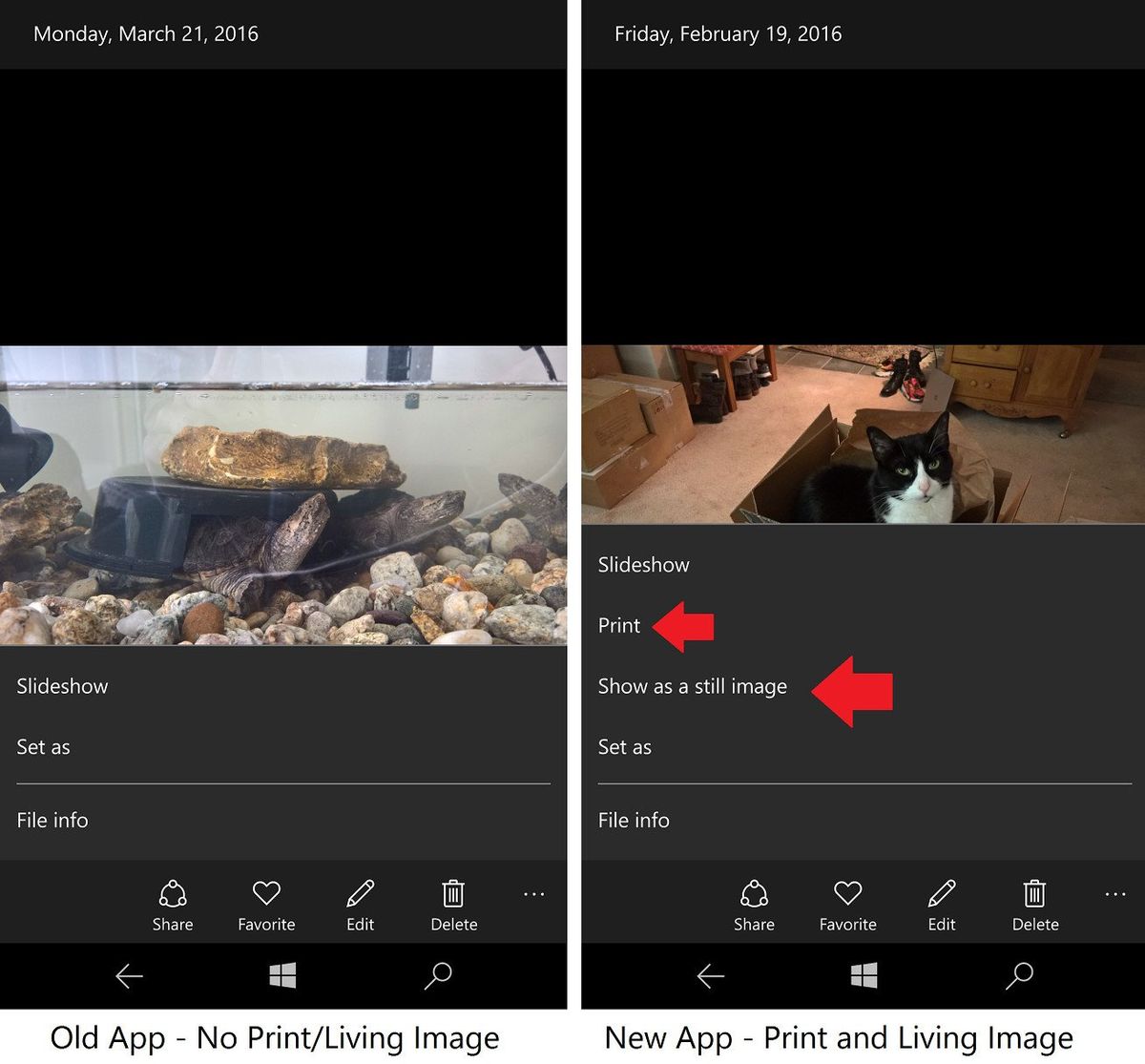 Microsoft Photos for Windows 10 Mobile grabs Print and Living Image ...