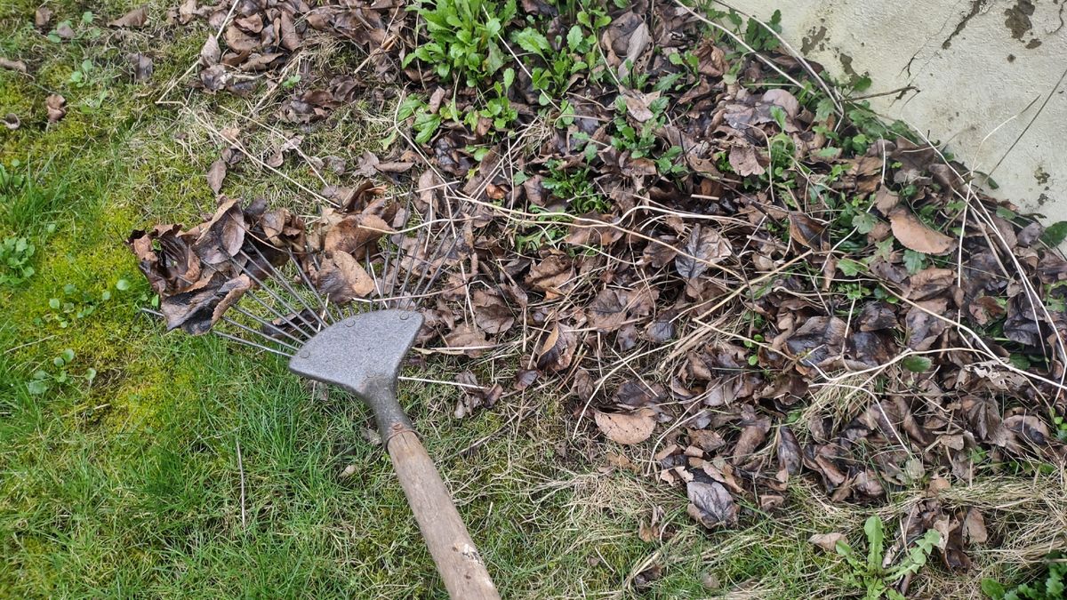 How to prepare the yard for spring — 7 tips for seasonal success | Top ...
