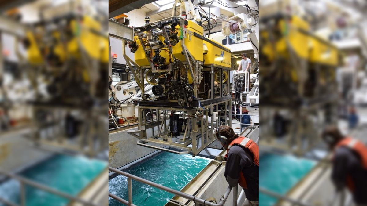 Clearest-ever seafloor maps show deep-sea 'Grand Canyon' off US coast ...