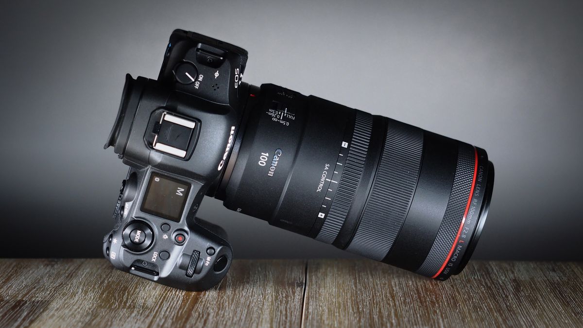 The best macro lenses | Digital Camera World