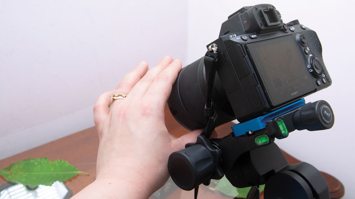 Create botanical photo art with microscopic insights | Digital Camera World