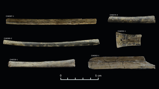 Secret 'drug room' full of psychedelic 'snuff tubes' discovered at pre ...