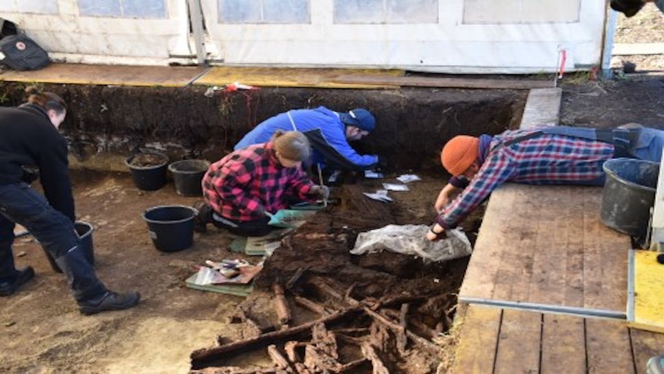 Human 'bog bones' discovered at Stone Age campsite in Germany | Live ...