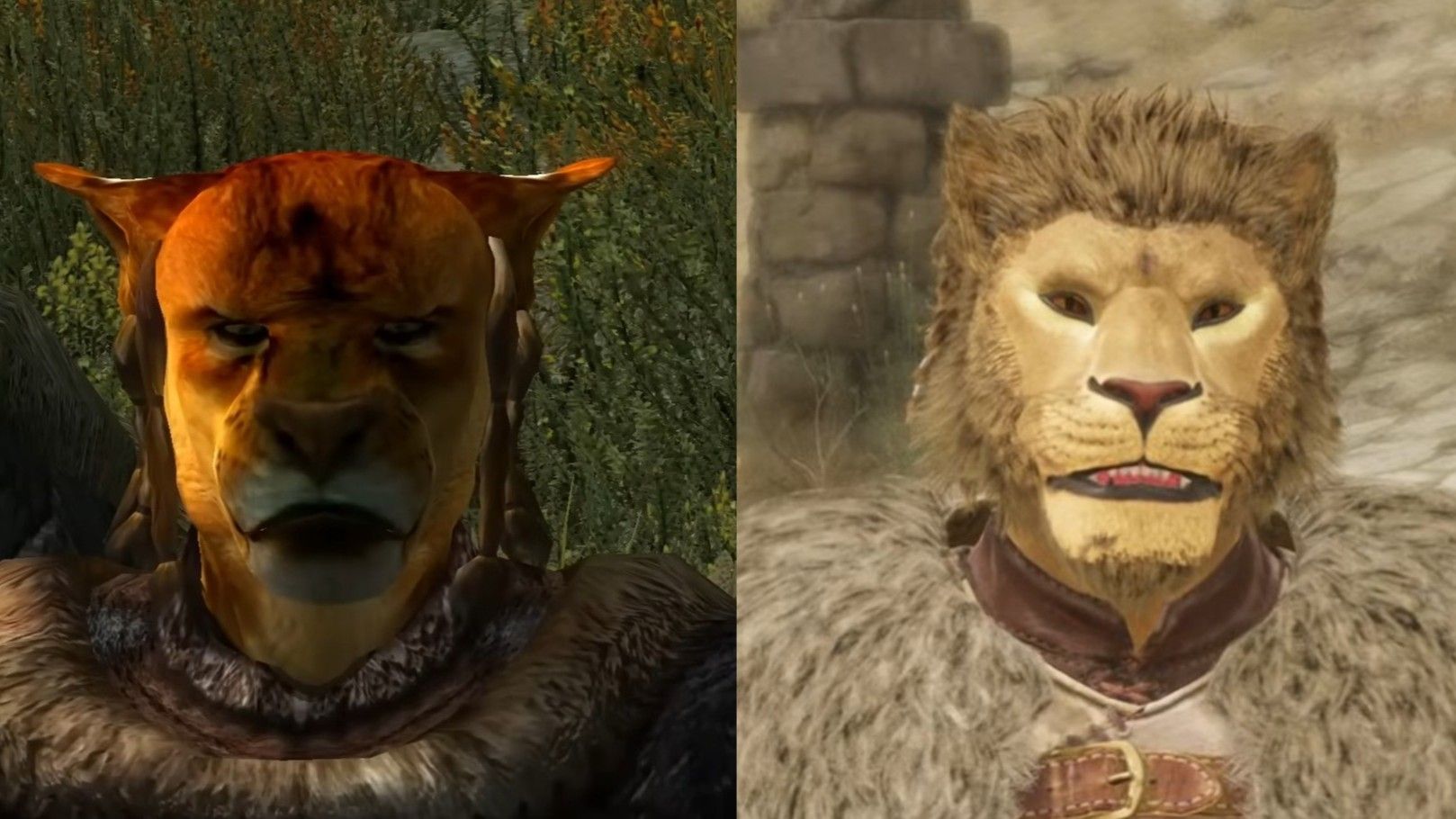 This beloved Oblivion meme got remade 7 years later in Oblivion ...