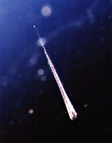 Space Probe Brought Real Stardust Back to Earth | Space