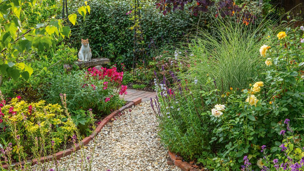 Cottage backyard ideas: for a rural, rustic garden | Homes and Gardens