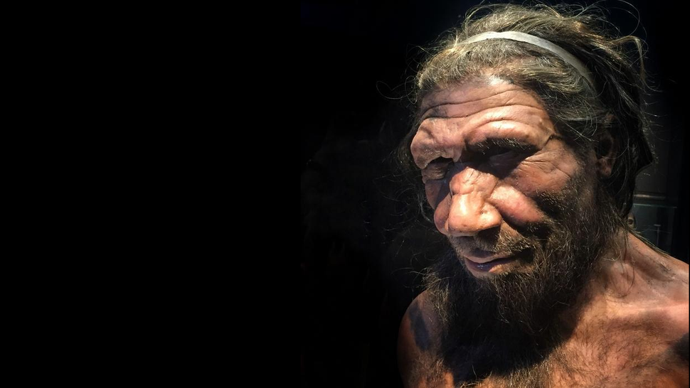 Neanderthal 'population bottleneck' around 110,000 years ago may have ...