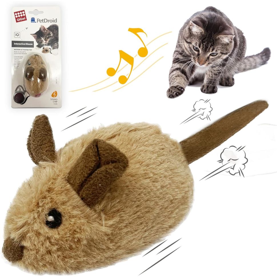 Best kitten toys: The top playthings for your new cat | PetsRadar