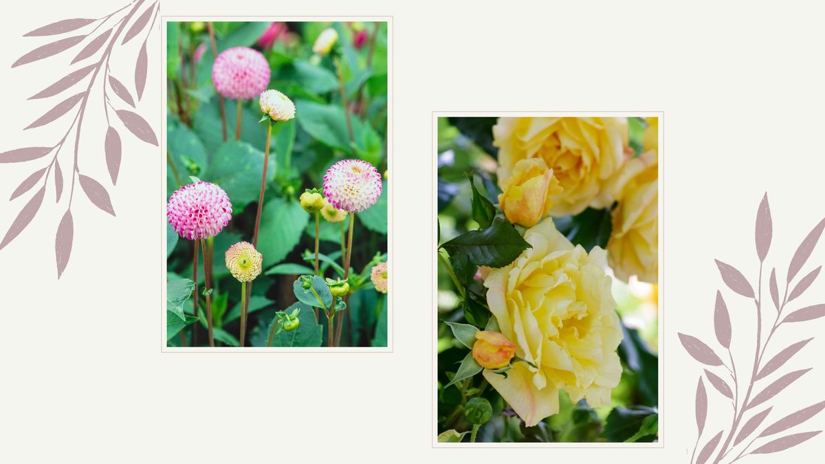 Gardening expert shares genius plant pot pest control hack | Woman & Home