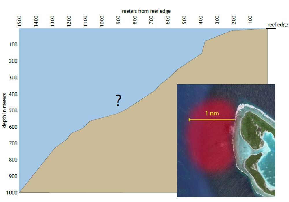 Robots Join Hunt for Amelia Earhart's Plane | Live Science