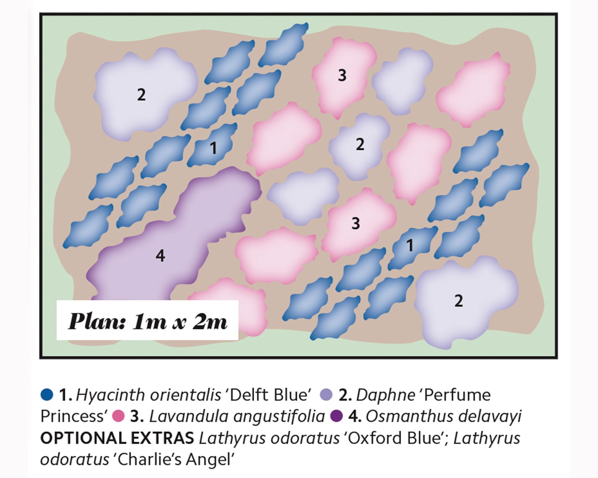 Garden border planting ideas: 6 stunning layouts to try | Gardeningetc