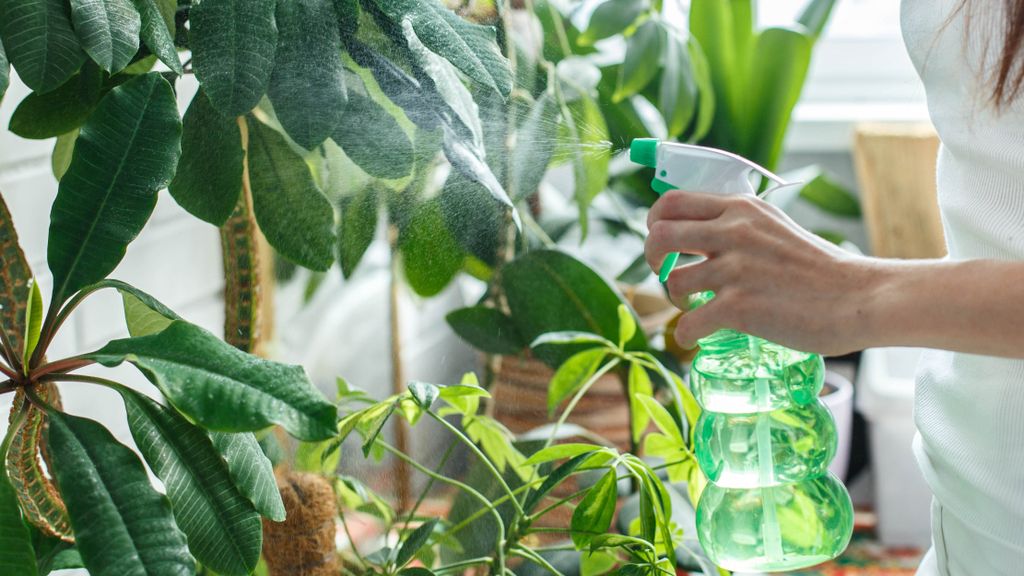 7 easy ways to make homemade fertilizer | Tom's Guide