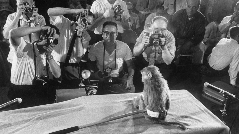 Able and Baker: The First Primates to Survive Spaceflight in Photos | Space