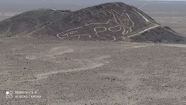 New Nazca Line geoglyph discovered: A 120-foot-long cat | Live Science