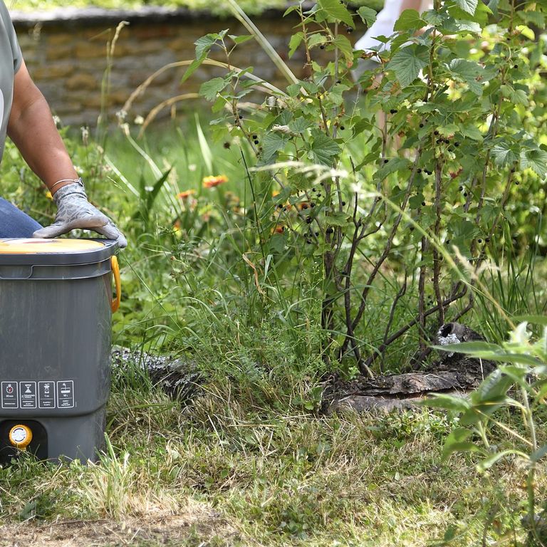 What is peat compost - what you need to know about the controversial ...