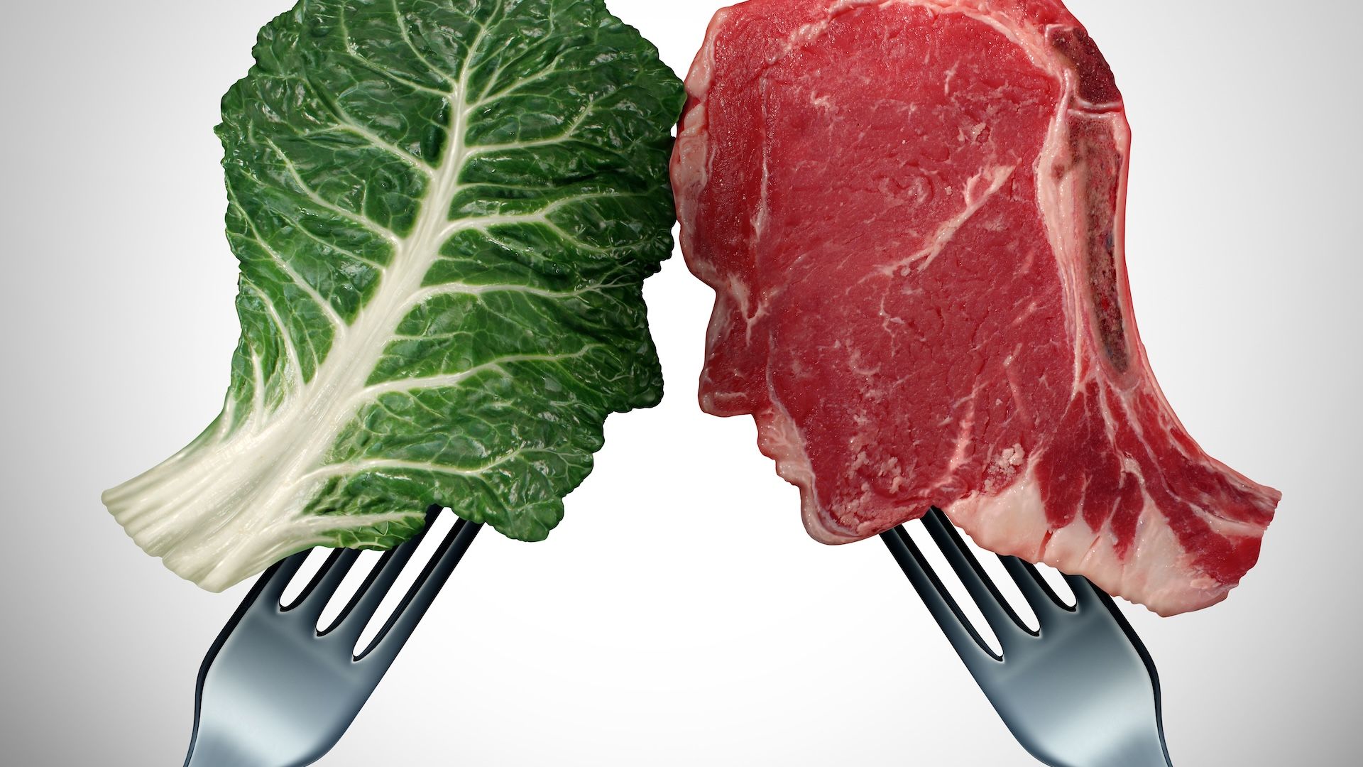 Why does meat have more protein than vegetables? | Live Science