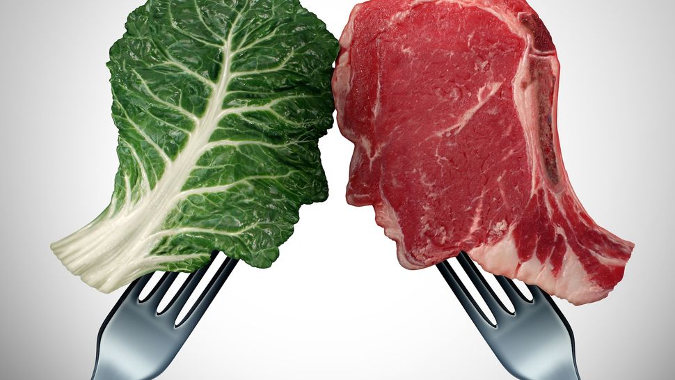 Why does meat have more protein than vegetables? | Live Science