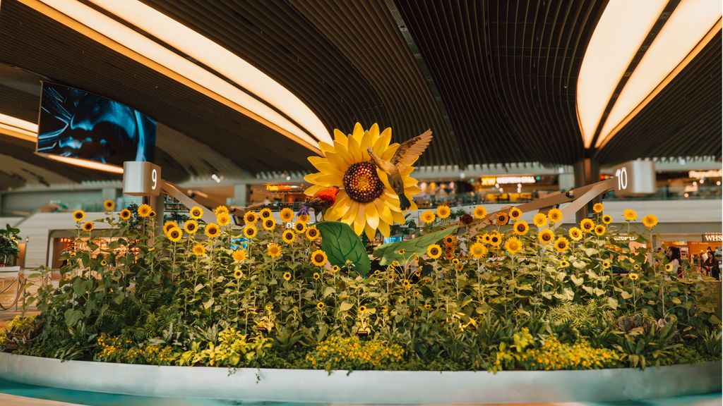 How to make cut sunflowers last longer: 3 expert tips | Homes and Gardens