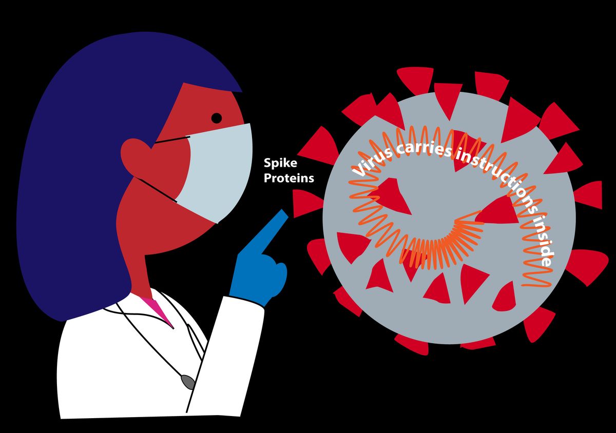 Infographic for kids: Anatomy of the coronavirus | Live Science