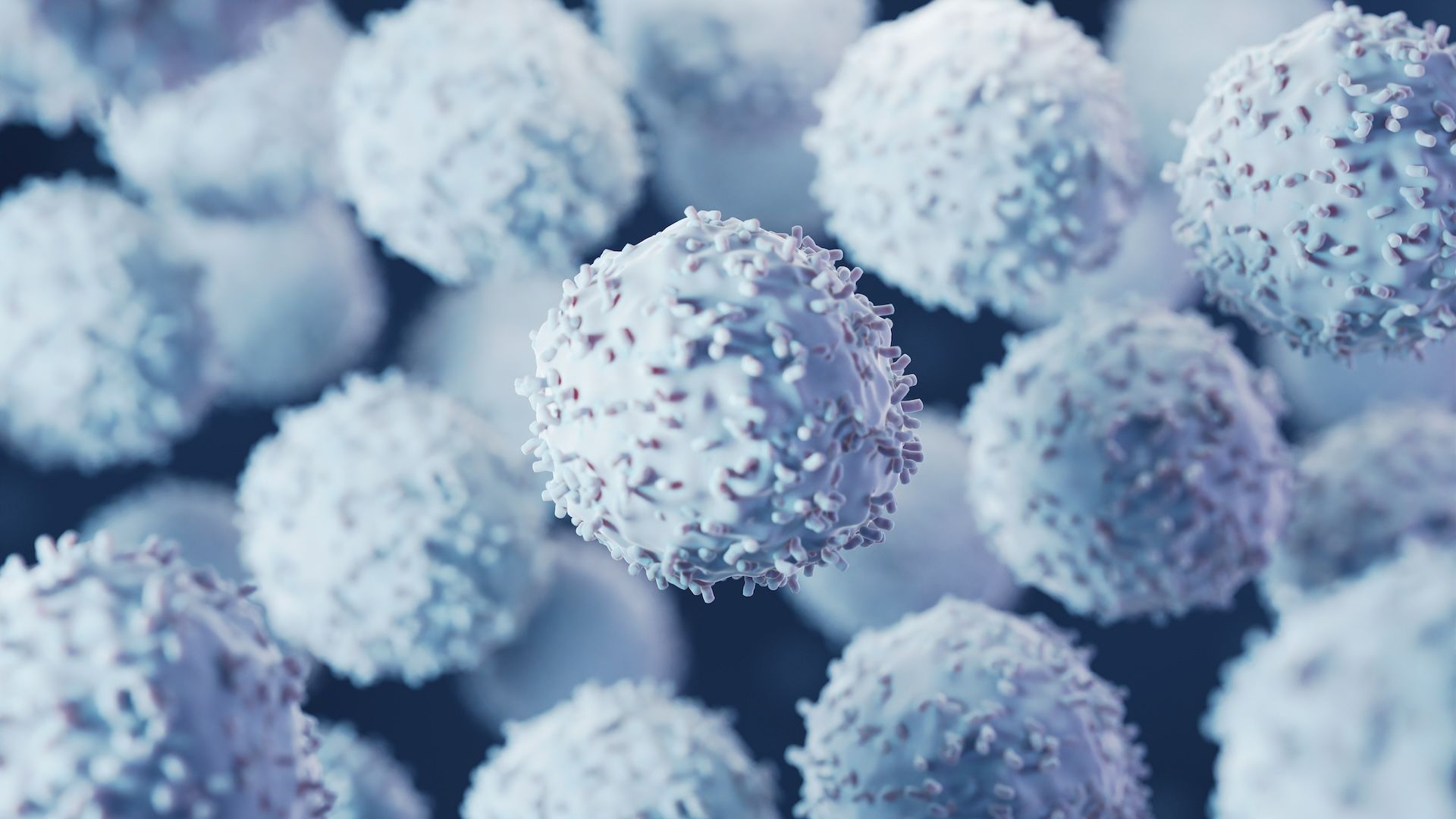 'Like a reset button on a computer': Designer cells 'reboot' immune ...