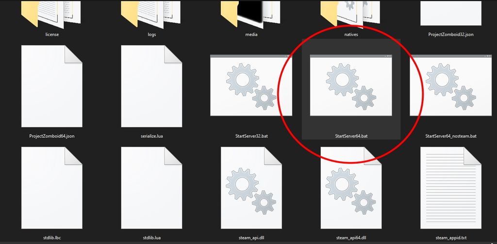 Project Zomboid dedicated server guide | PC Gamer