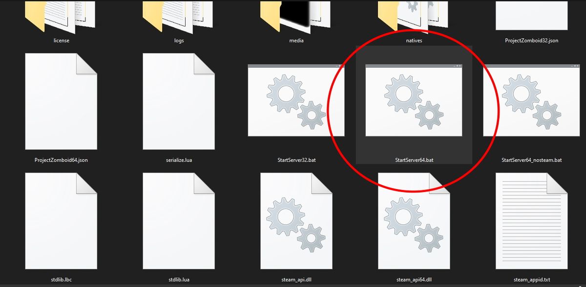 Project Zomboid dedicated server guide | PC Gamer
