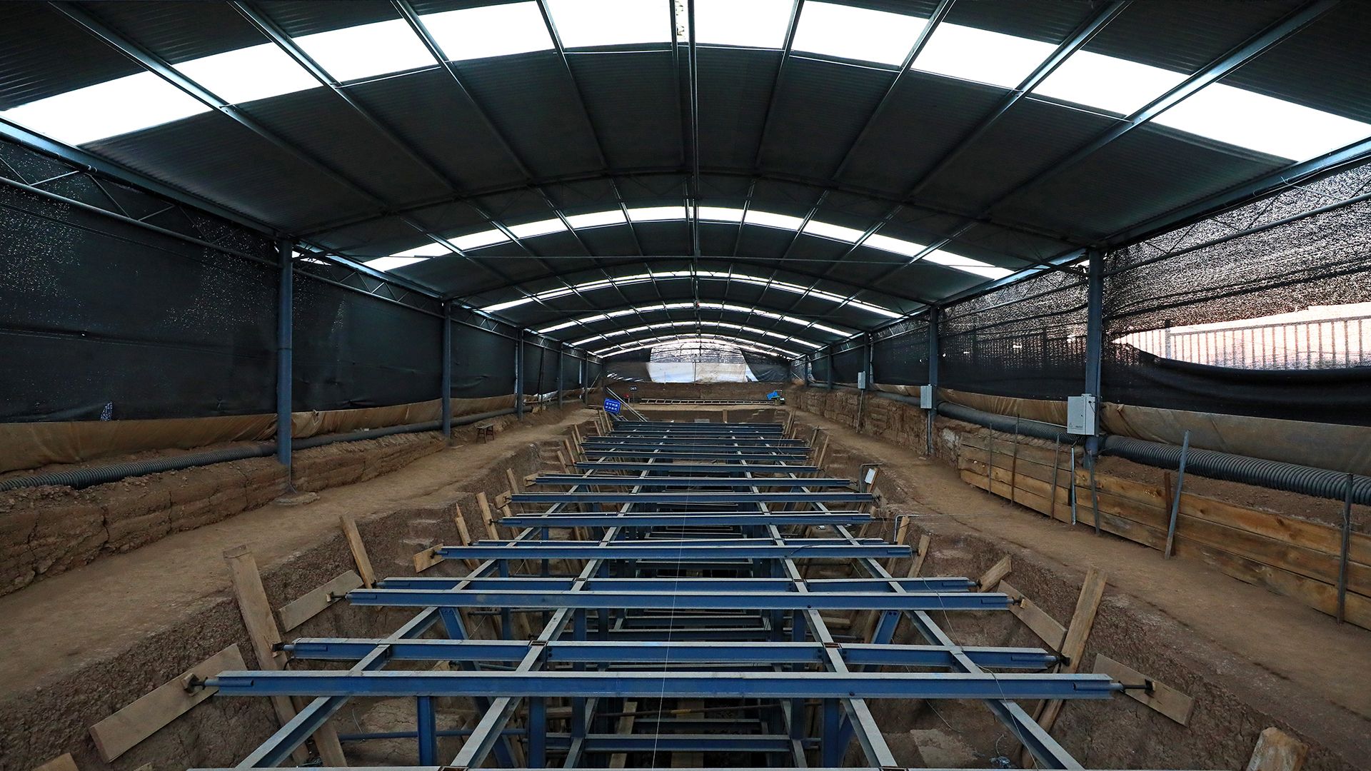 2,200-year-old remains of sacrificed giant panda and tapir discovered ...