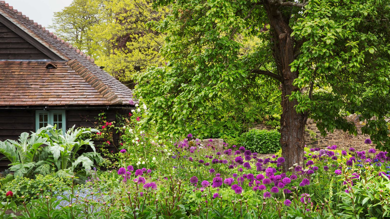 Subsidence: how to deal with structural movement | Real Homes