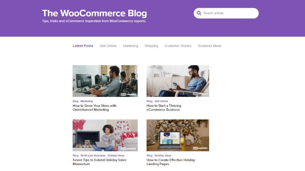 10 reasons why WooCommerce is the perfect partner for an ecommerce ...