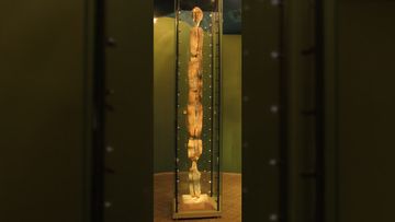 Shigir Idol: World's oldest wood sculpture has mysterious carved faces ...