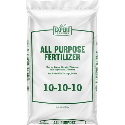 How to fertilize fruit trees: expert tips for feeding plants | Homes ...