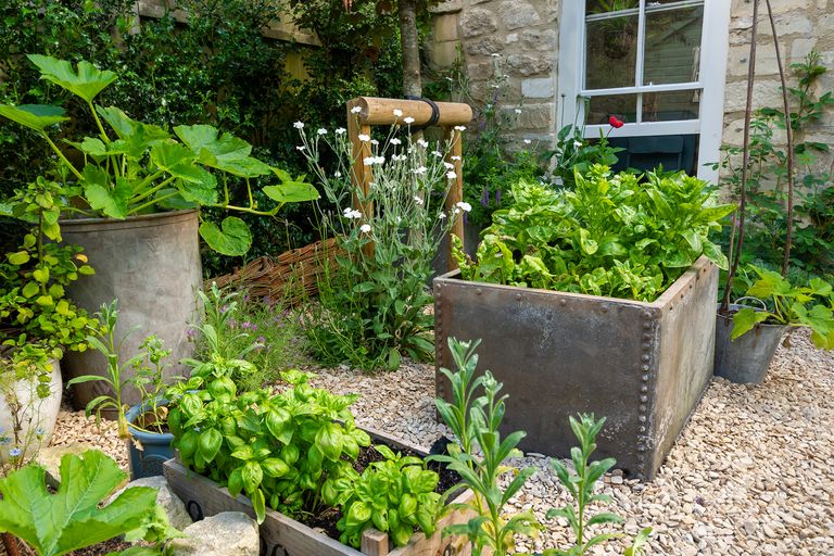 Vegetable garden container ideas for growing crops in pots | Homes and ...