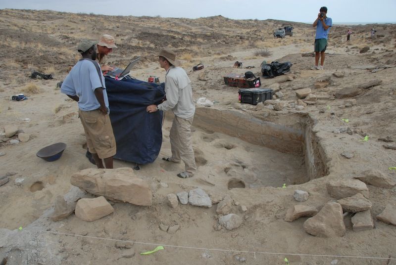 Million-Year-Old Fossils Show Hippos Going for a Swim | Live Science