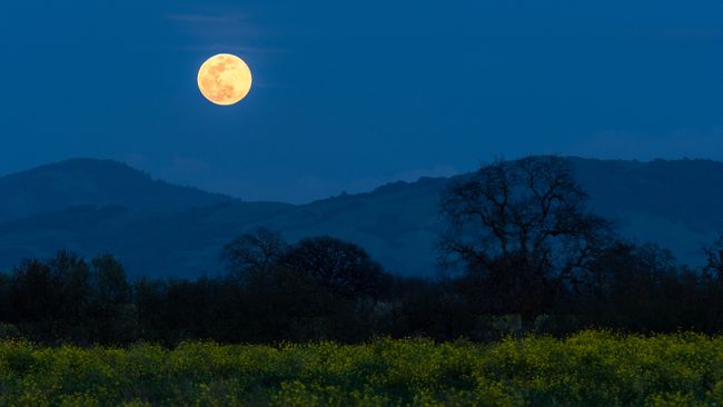 Catch March's full supermoon Worm Moon this Sunday | Live Science