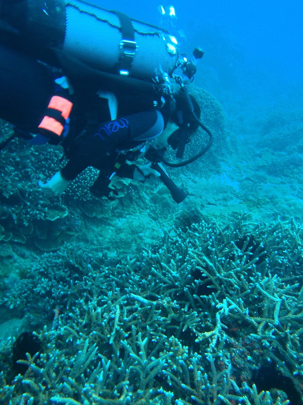 Taiwan's Coral Reefs and Other Hidden Gems | Live Science