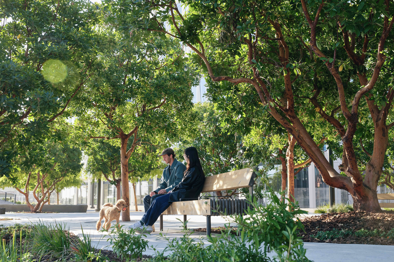 Tour waterfront park China Basin Park in San Francisco | Wallpaper*