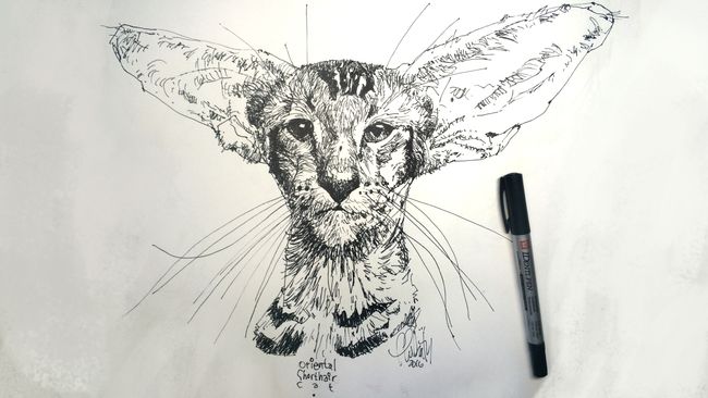 10 pen drawing techniques and tips | Creative Bloq