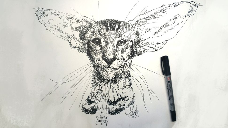 10 pen drawing techniques and tips | Creative Bloq