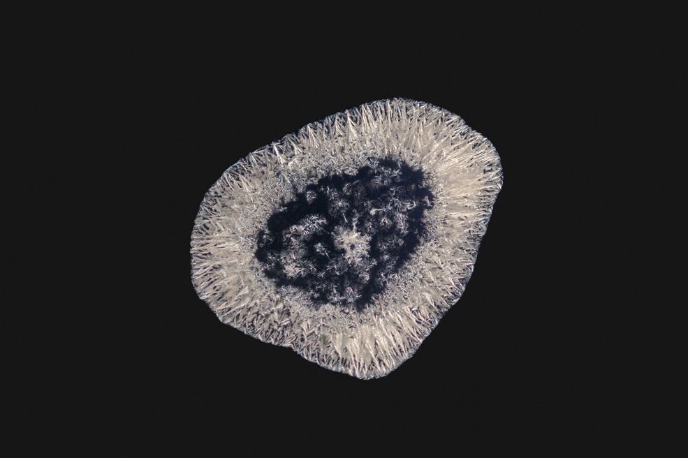 This is what ecstasy looks like under a microscope | The Week